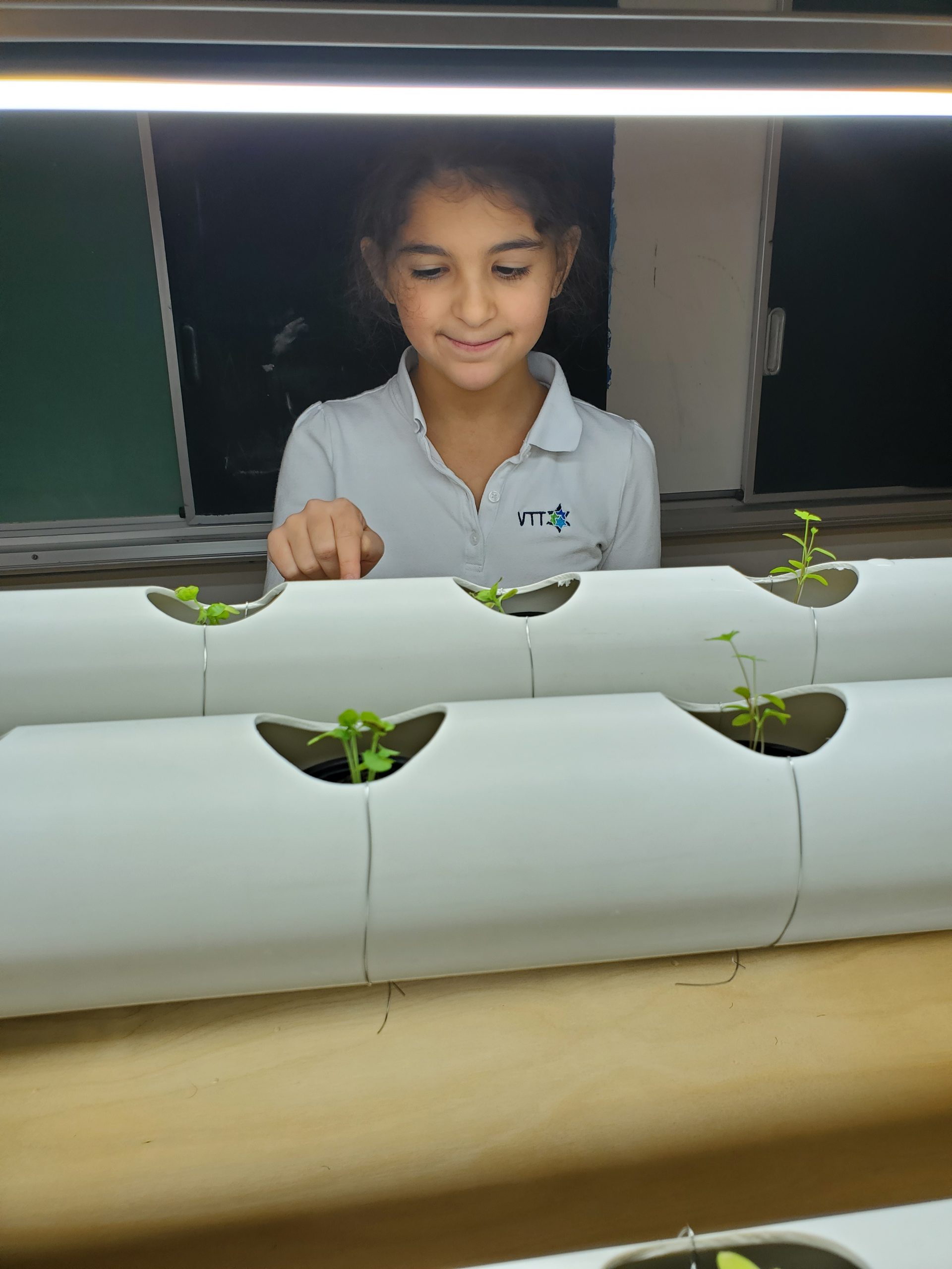 tamar - Vancouver Talmud Torah